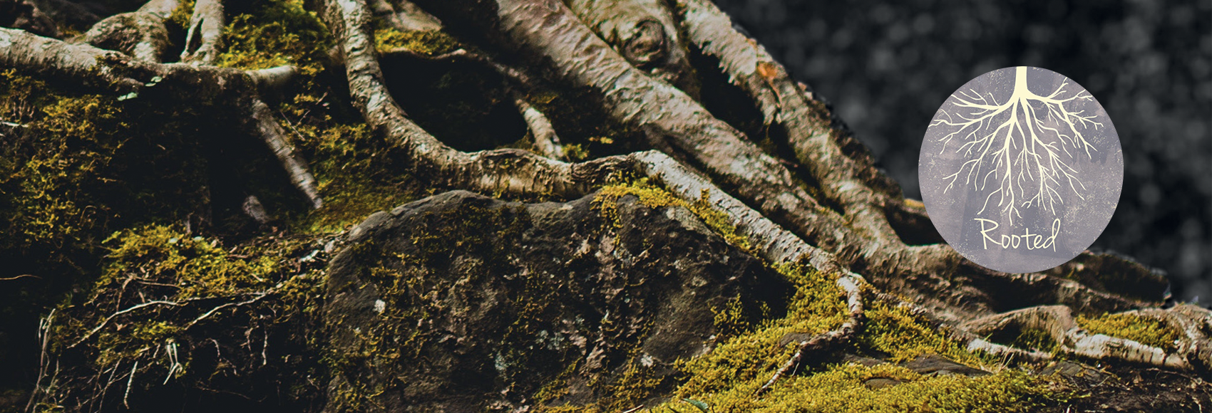 Rooted | Scripture Union